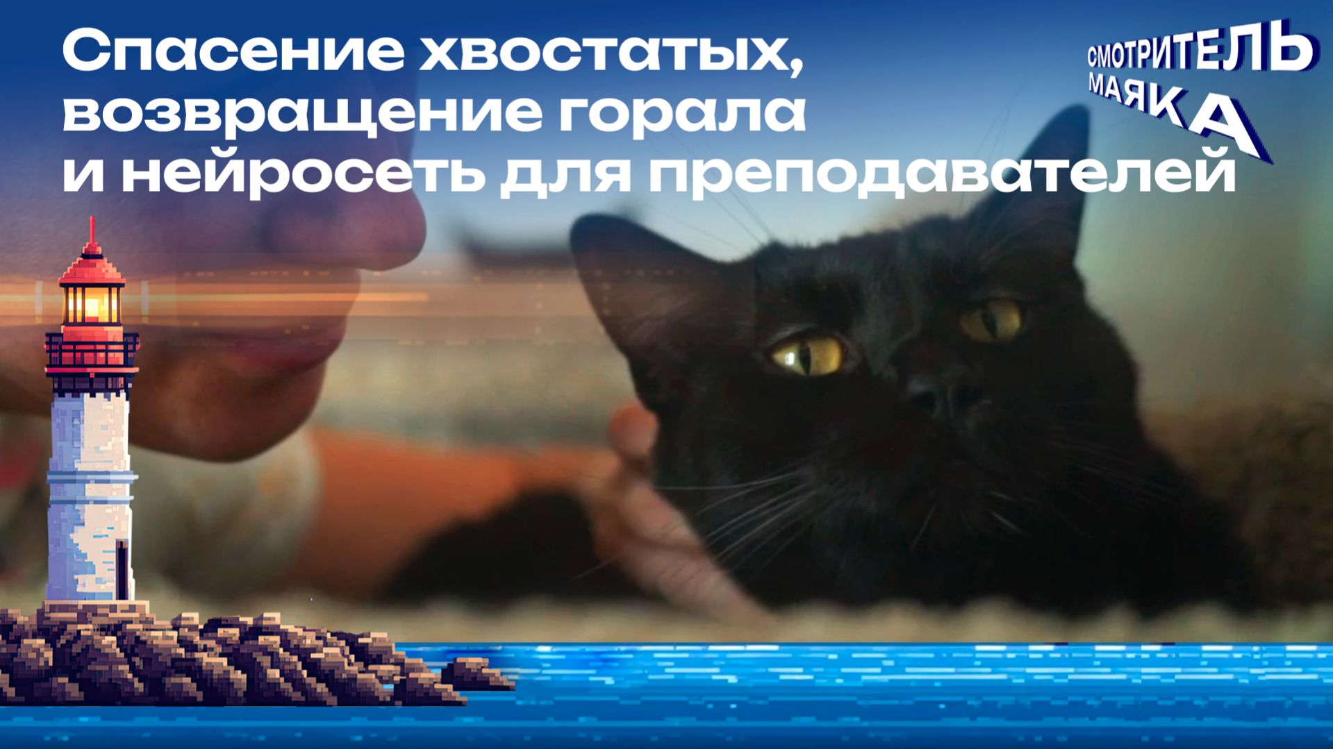 Спасение хвостатых, горалы и нейросеть для преподавателей | Смотритель маяка с Романом Маякиным