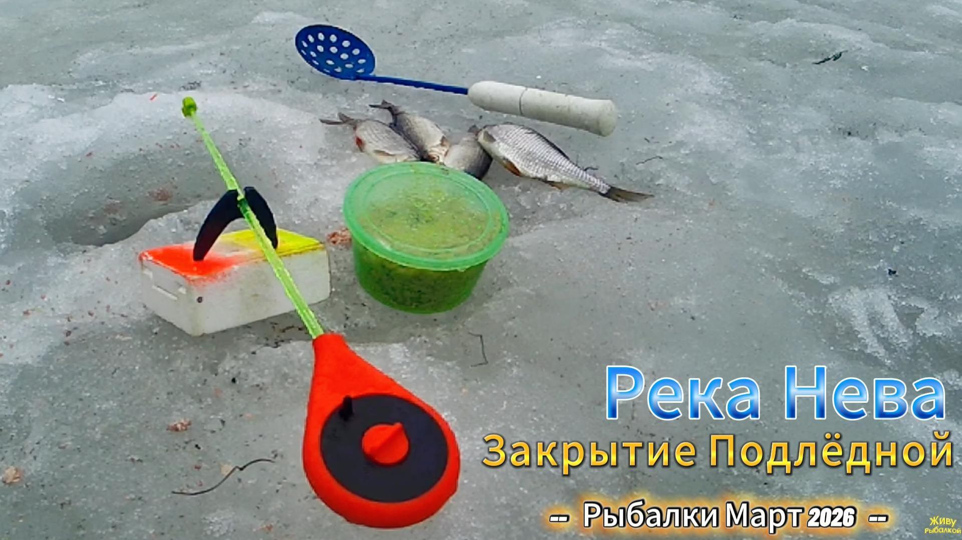 ЗАКРЫТИЕ СЕЗОНА ЗИМНЕЙ РЫБАЛКИ РЕКА НЕВА ЛОВЛЯ МИРНОЙ РЫБЫ ПОИСКИ ХИЩНОЙ