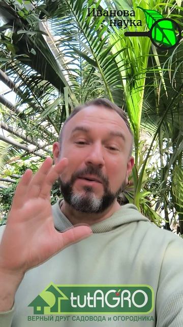 Чтобы РАССАДА НЕ ВЫТЯГИВАЛАСЬ, НЕ ДЕЛАЙ ТАК! Секрет компактной рассады.