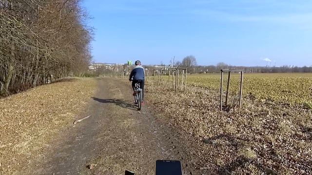 Городище и Птичь