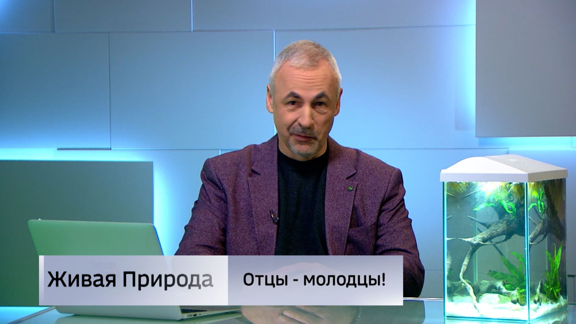 Живая природа. "Отцы-молодцы"