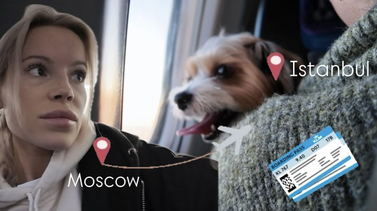 Летим в Стамбул компанией Победа🛩️Собачий рейс🐩Нас встретила холодная погода☔️Первая ссора
