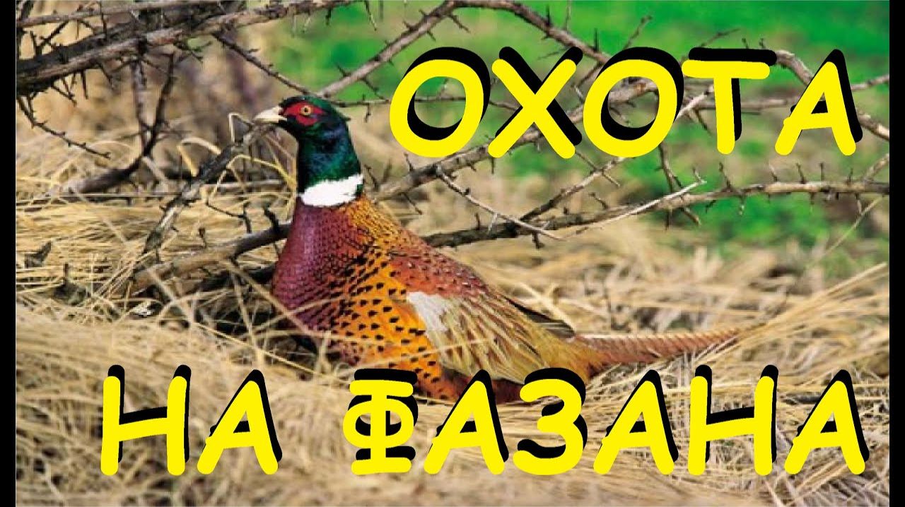 Way of the Hunter № 2