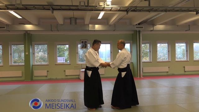 9.Ai Hanmi Iriminage Omote Low Position Shishiya Sensei Malmö, 2019