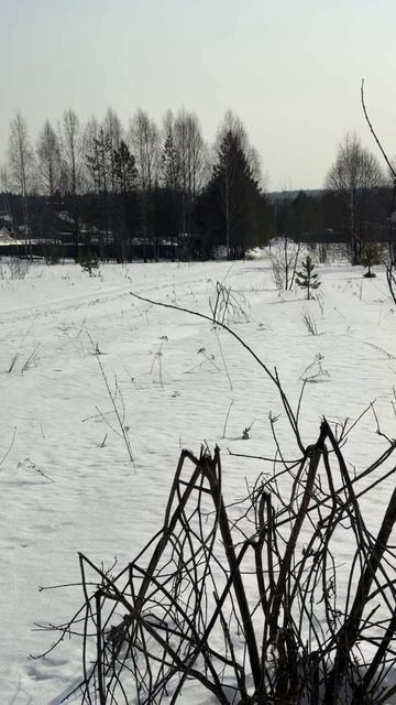 Продаётся участок 6.5 Га под сельхоз.производство около д. Володино, Александровский район