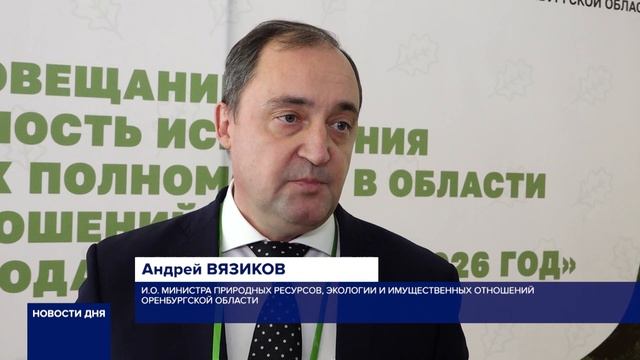 ЛЕС ПОД ОХРАНОЙ