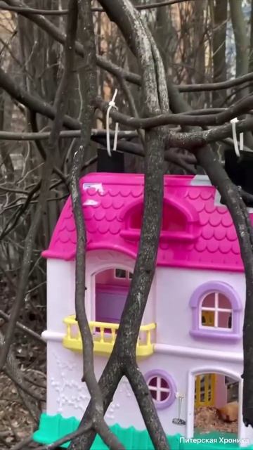 В Петербурге появилась необычная кормушка, напоминающая настоящий дворец, которая привлекла внимание