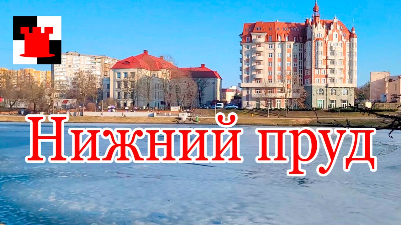 Прогулка по Нижнему озеру (пруду) Калининграда в марте 2026
