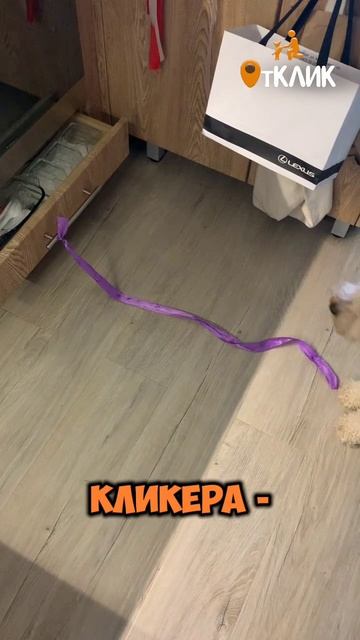 Результат достигнут.