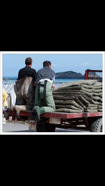 Франция. Экскурсия на ферму по разведению устриц