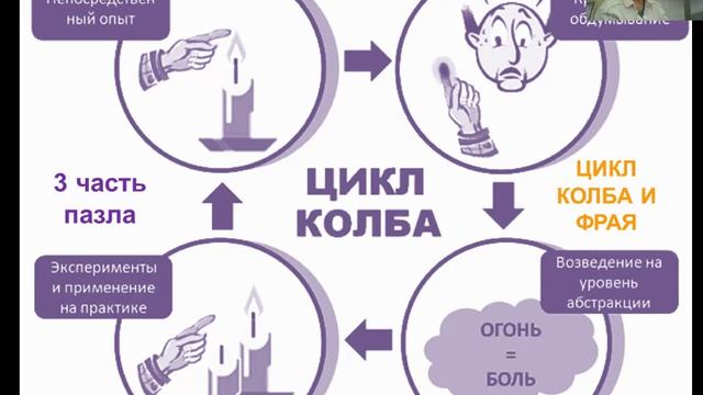 Цикл Колба, кривая Бандуры, модель Киркпатрика и другие варианты обучения