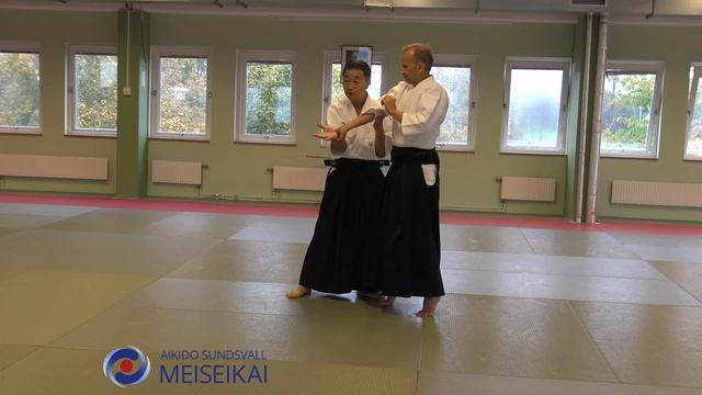 2.Ai Hanmi Do Barai Ikkyo Ura Shishiya Sensei Malmö 2019