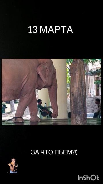 13 марта За что пьем?!)