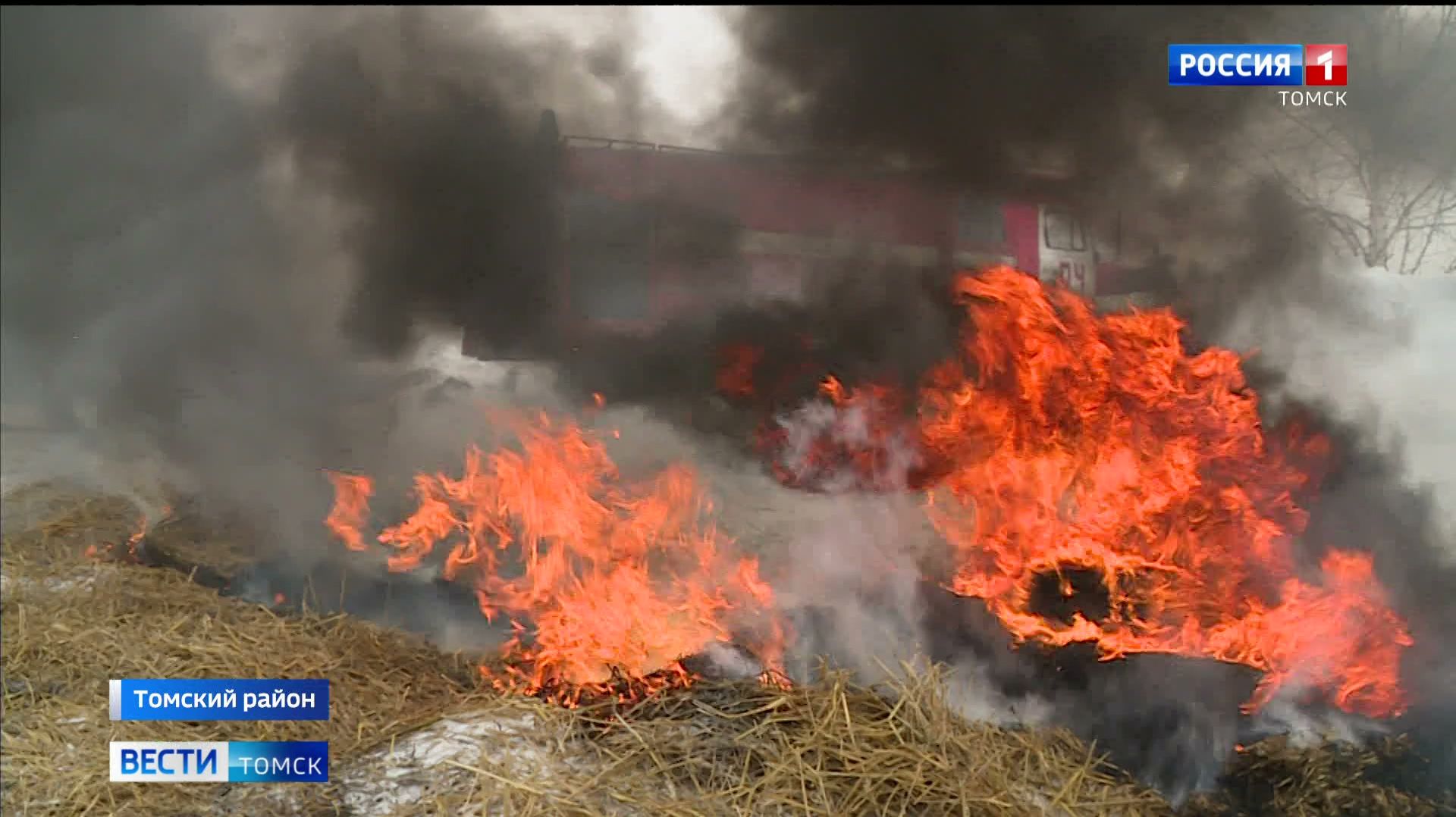 Вести-Томск, выпуск от 12.03.2026 21:10