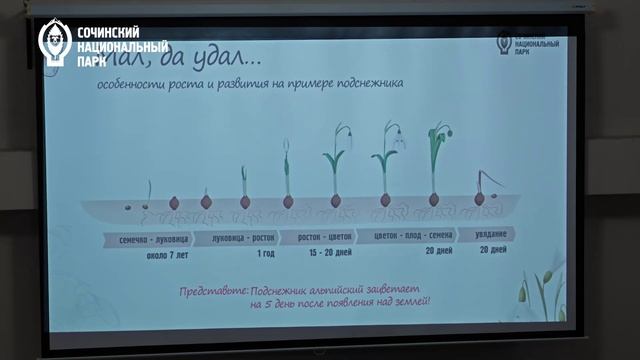 Открытая встреча «Весна в Сочинском национальном парке»