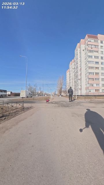 Внимание на собак2. 13марта2026 поездка на моноколесе