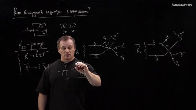 Лекция 14. Загадки нейтральных каонов. Часть 2 | Ренормировка в КТП | Наумов Д.В.