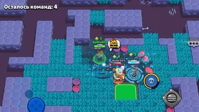 кит в прайме