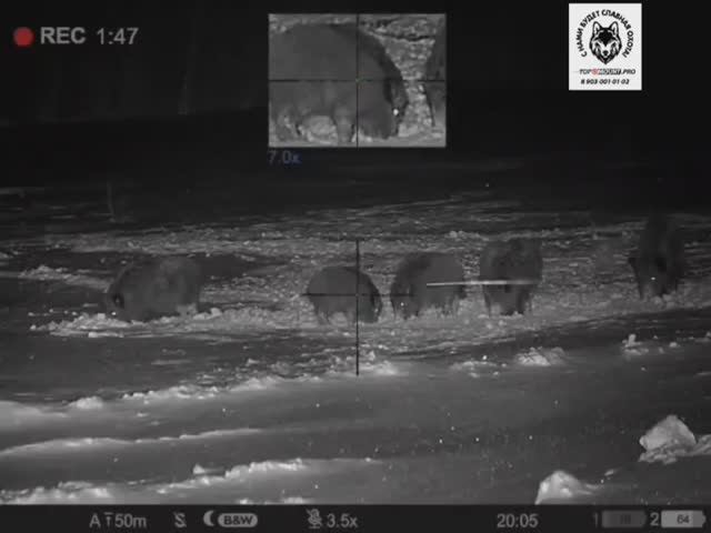 полет пули С-50