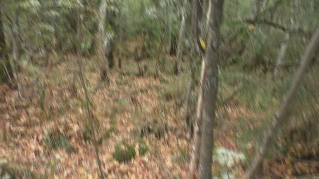 Из  Рузы на Смоленск