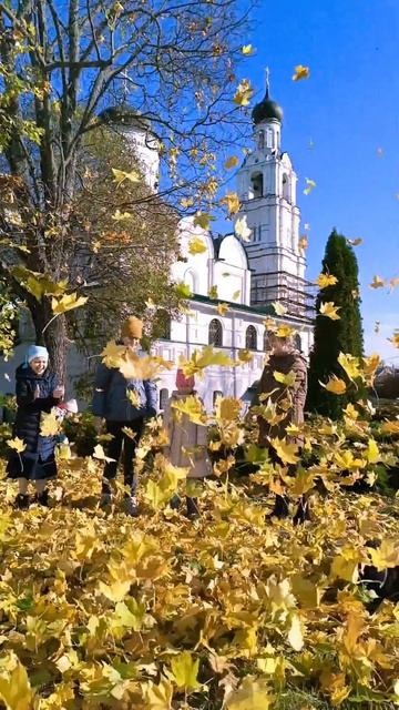 Осенние забавы, кленовый 🍁 листопад.