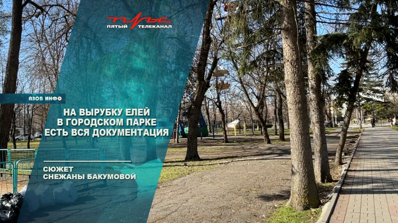 На вырубку елей в городском парке есть вся документация