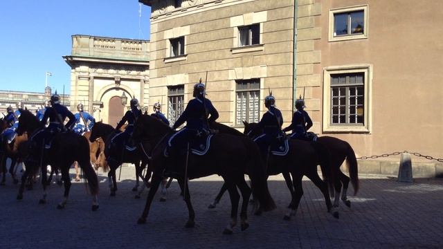 Шведская королевская конница