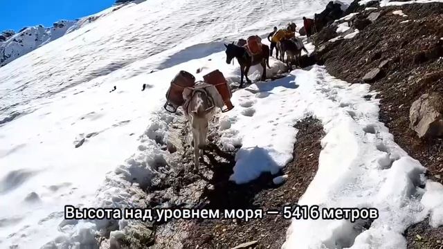 На высоте- сотрудник Транснефти совершил треккинг вокруг Аннапурны