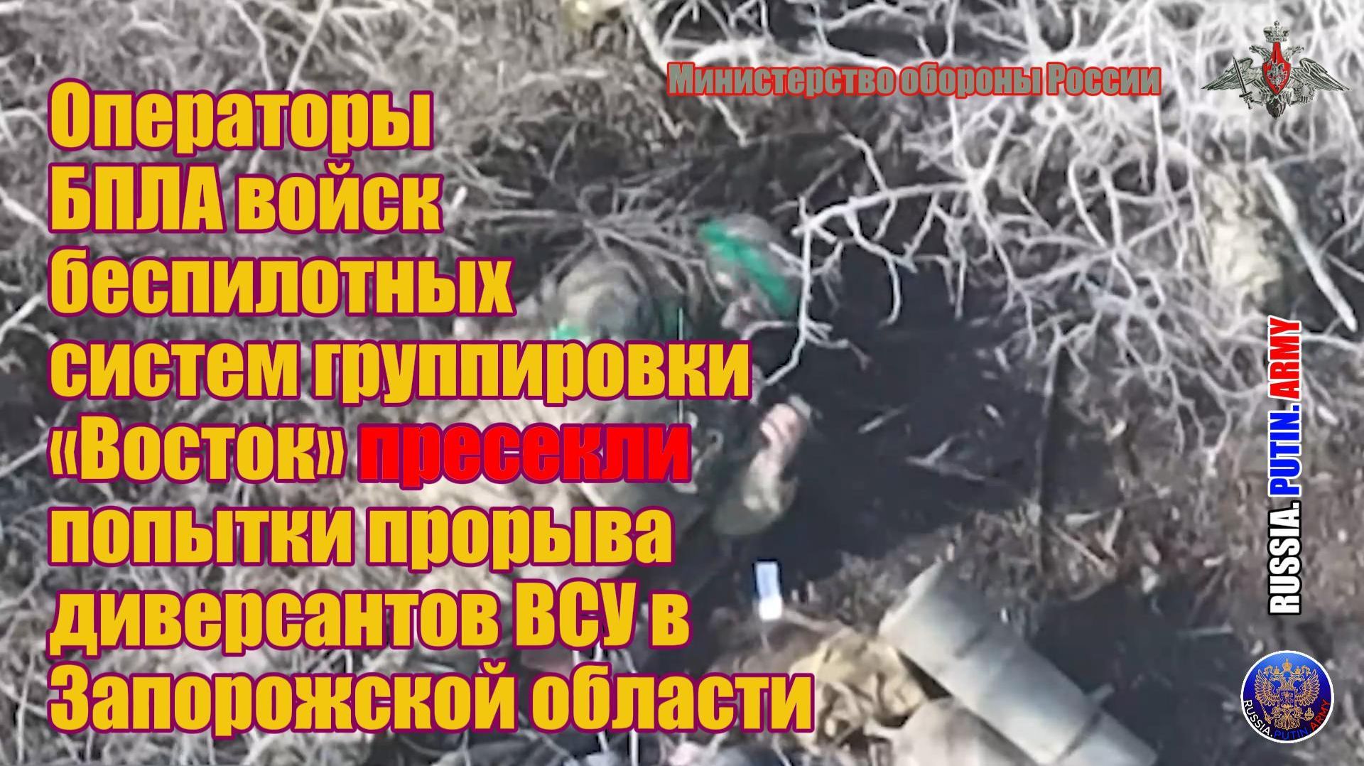 ✅ Пресечены попытки мелких групп ВСУ проникнуть сквозь линию боевого соприкосновения