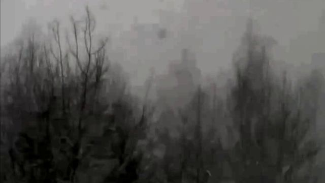 Начался мощный снегопад в Москве