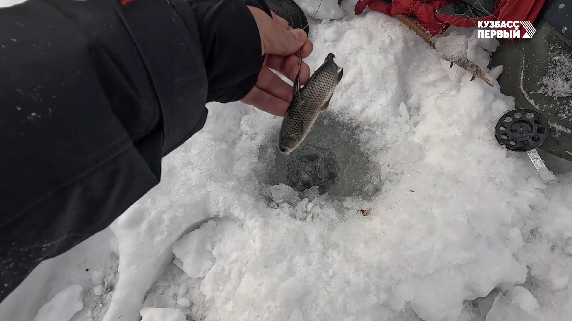 Сибирский лов. Выпуск 98