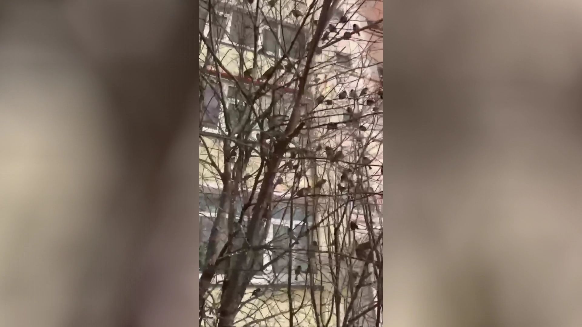 Югорский интернет заполонили весенние кадры