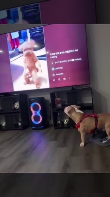 Он дважды попытался повторить