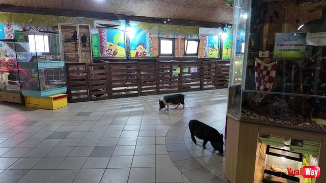 Мой дебют для фотостоков