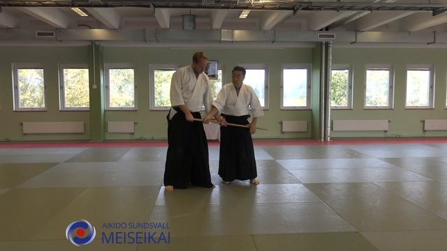 14.Aikido Jodori Ikkyo Omote Shishiya Sensei Malmö, 2019