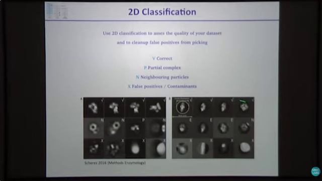 крио электронная микроскопия Data processing EM 7 Лекция