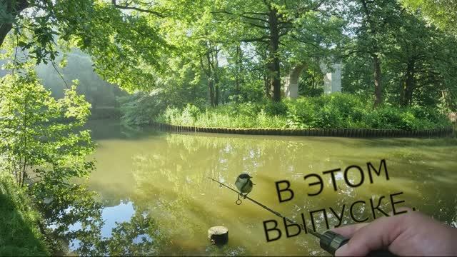 Самый маленький поплапоппер, ловля в жару #спиннинг