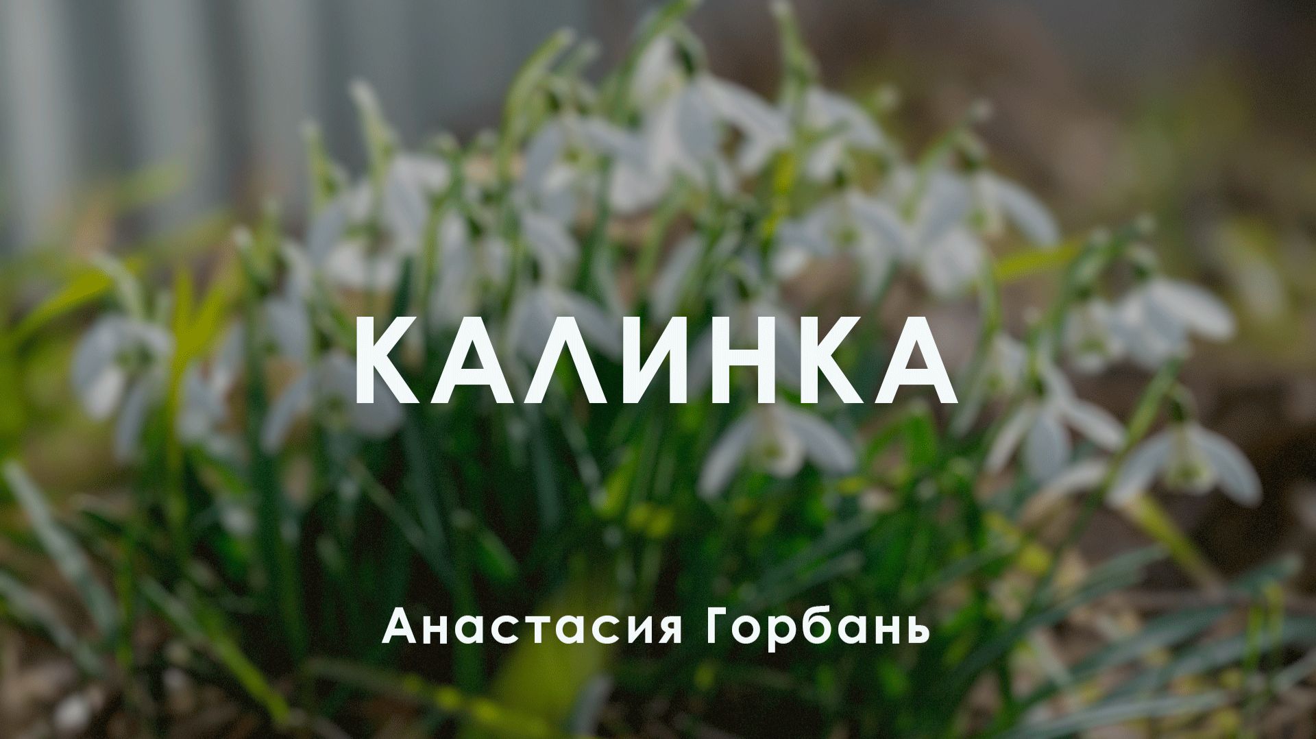 «С ЛЮБОВЬЮ К ЖЕНЩИНЕ» – Анастасия Горбань – «Калинка»