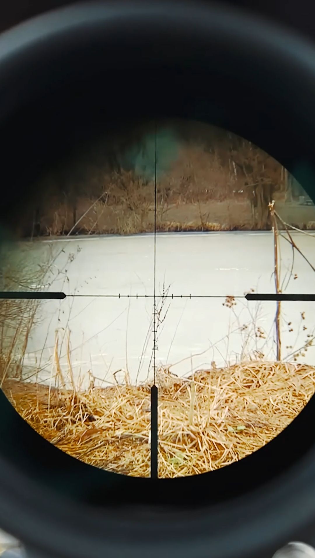 Оптический прицел Artelv Crs Fiber 1-10x28 SFP 34 мм — четкая картинка в любых условиях