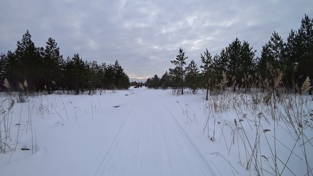 2023 Лыжный поход по Тверской области