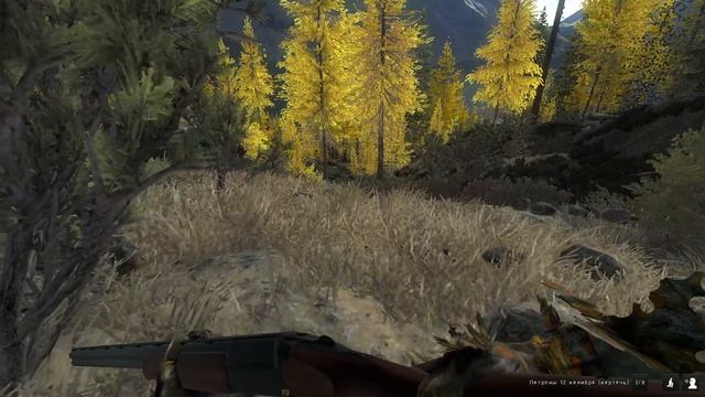 theHunter Classic-неудачный заход за пумой в Тропы Тимбергольды(угодья)-добыли снова толсторогов