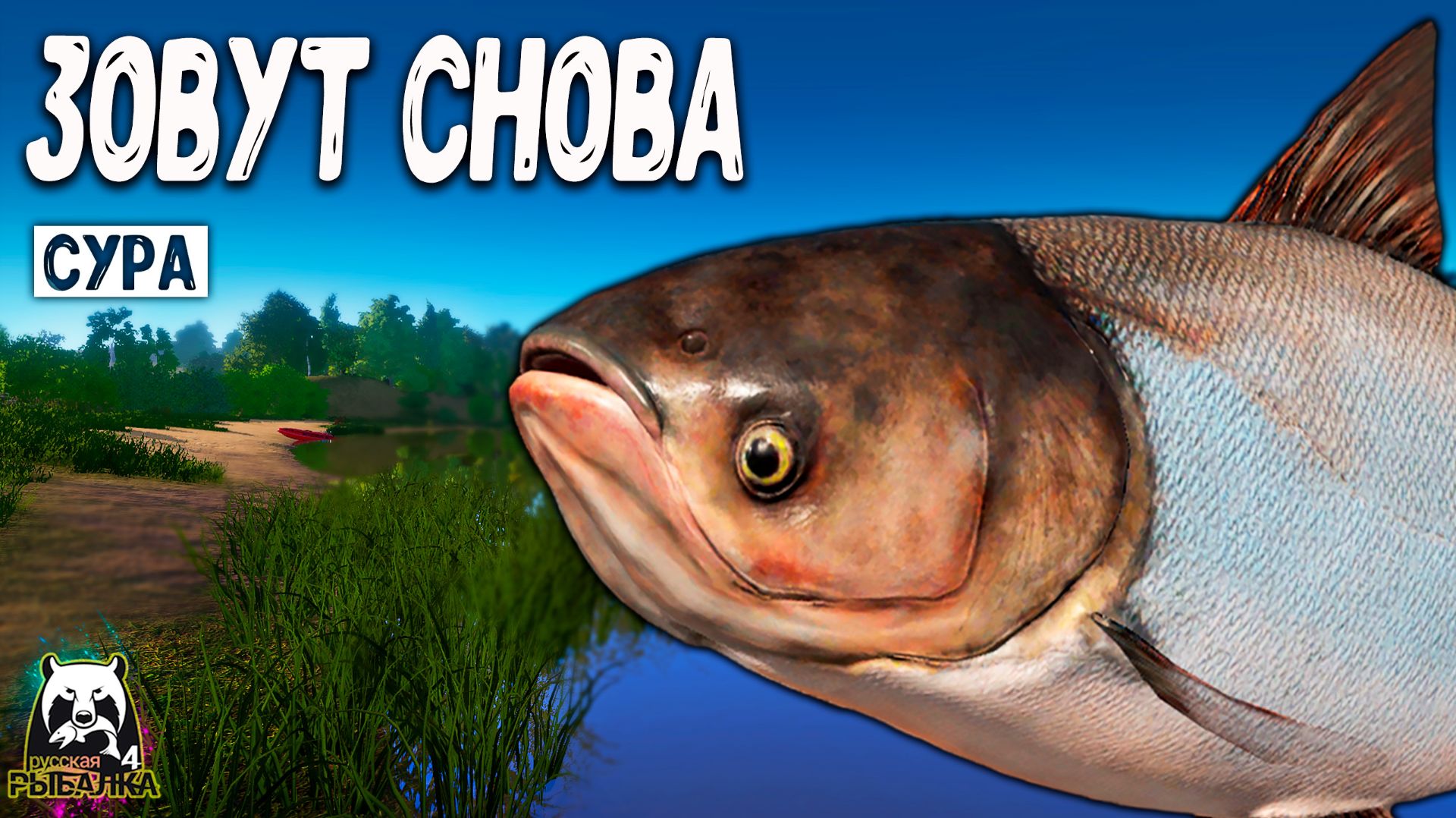 Rf4 сюда охота снова и снова возвращаться #рр4