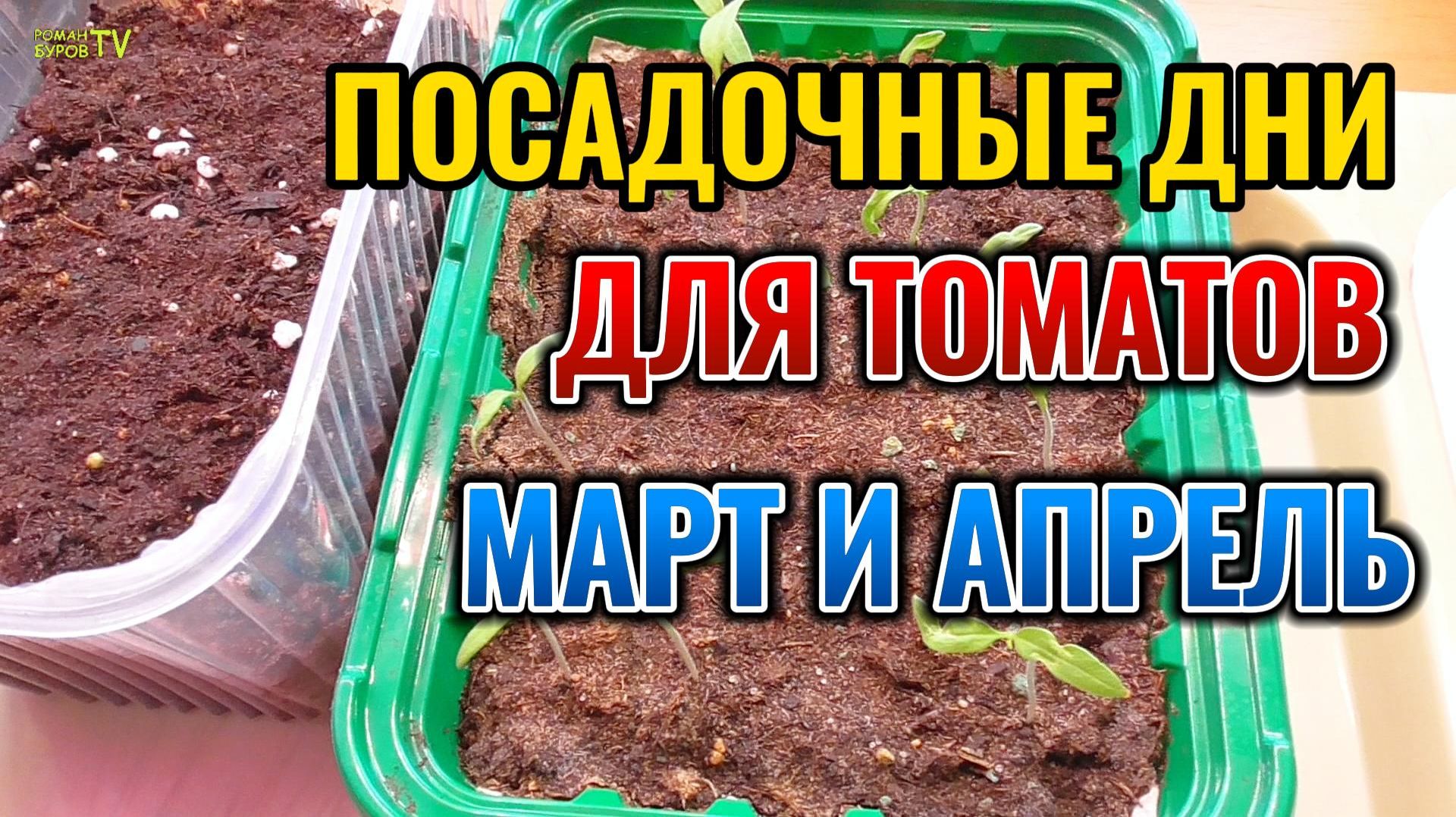 Посадочные дни для ТОМАТОВ в МАРТЕ и АПРЕЛЕ по лунному календарю садоводов и огородников 🌱🍅🍅