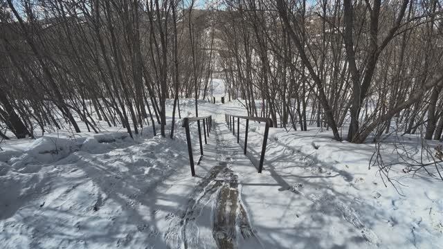 Фэтбайк зимой. Начало весны: поиски места для рыбалки
