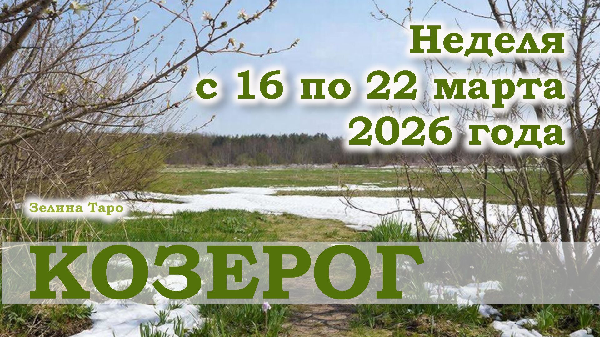 КОЗЕРОГ | ТАРО прогноз на неделю с 16 по 22 марта 2026 года