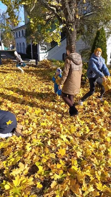 Осенние забавы, кленовый 🍁 листопад.