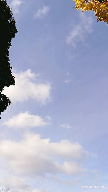 Золотая осень на территории Свято-Благовещенского Киржачского монастыря.