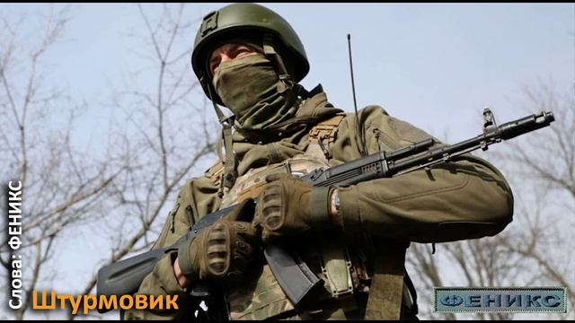 Штурмовик - (Феникс)