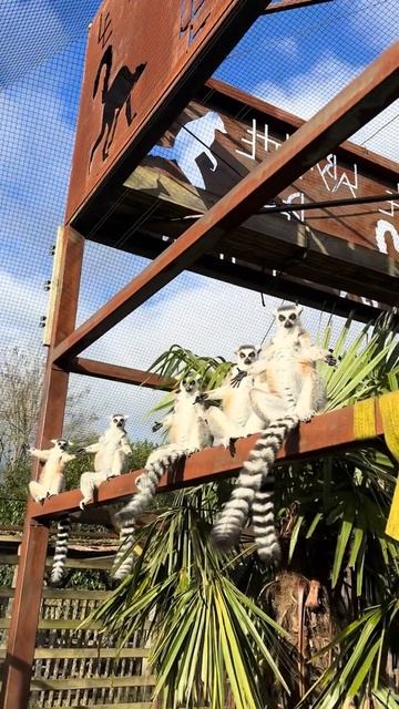 Солнечные ванны