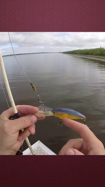 Воблер Raiden очень рабочий!